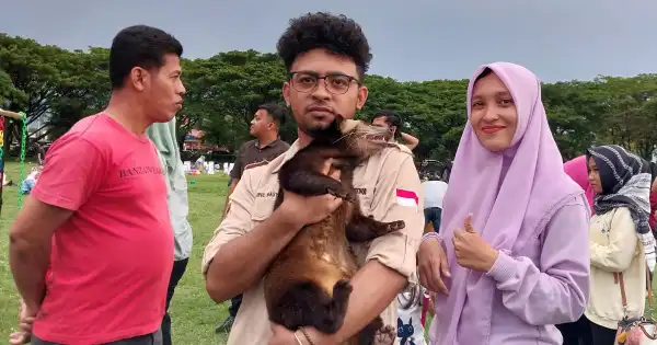 Komunitas Pecinta Hewan Ajak Masyarakat Bijak Hidup Berdampingan dengan ...