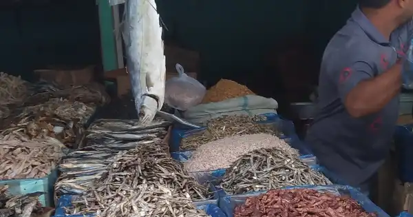 Harga Ikan Asin di Pasar Induk Lambaro Bergerak Naik