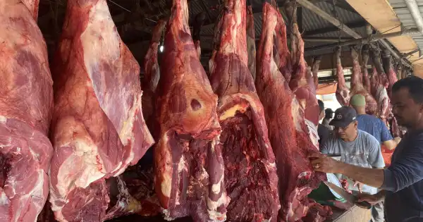 Harga Daging Sapi di Pasar Lambaro Rp 170 Ribu Per Kilogram