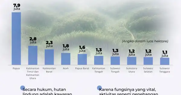 10 Provinsi dengan Hutan Lindung Terluas