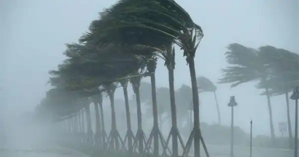 BMKG Ingatkan Warga Aceh Waspada Angin Kencang dan Bencana Hidrometeorologi