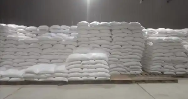 250 Ton Beras Diimpor ke Sabang, Bea Cukai: Izin Lengkap, Tapi Dokumen ...