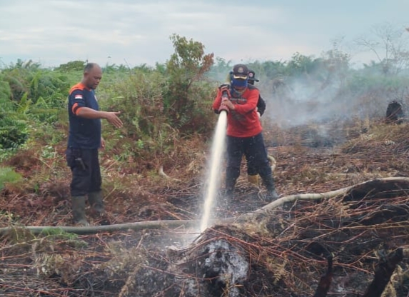 Kebakaran Lahan Gambut di Aceh Barat Tak Kunjung Padam