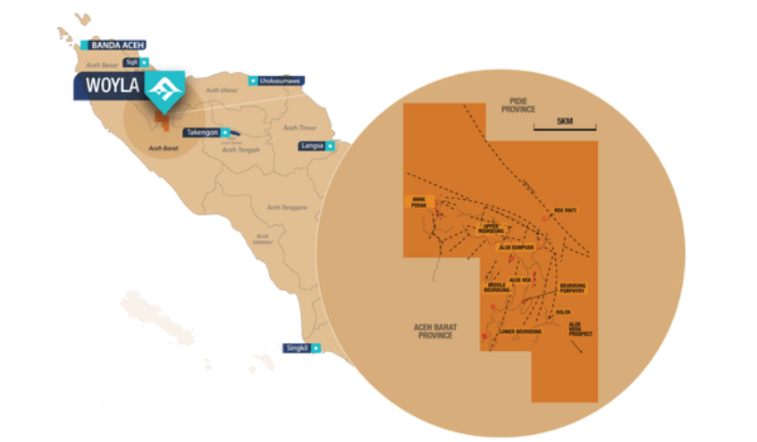 WALHI Sepakat Izin PPKH PT Woyla Aceh Minerals Dicabut