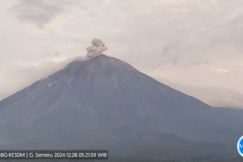 Semeru Beberapa Kali Erupsi dengan Tinggi Letusan hingga 700 Meter
