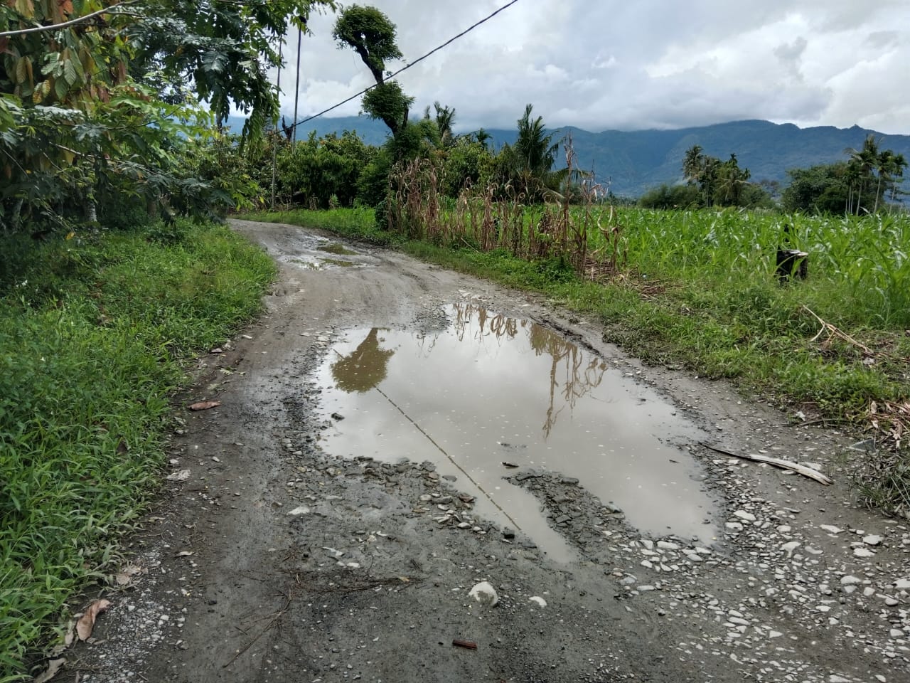 Puluhan Tahun Rusak, Jalan Penghubung Enam Desa di Aceh Tenggara Tak Kunjung Diperbaiki