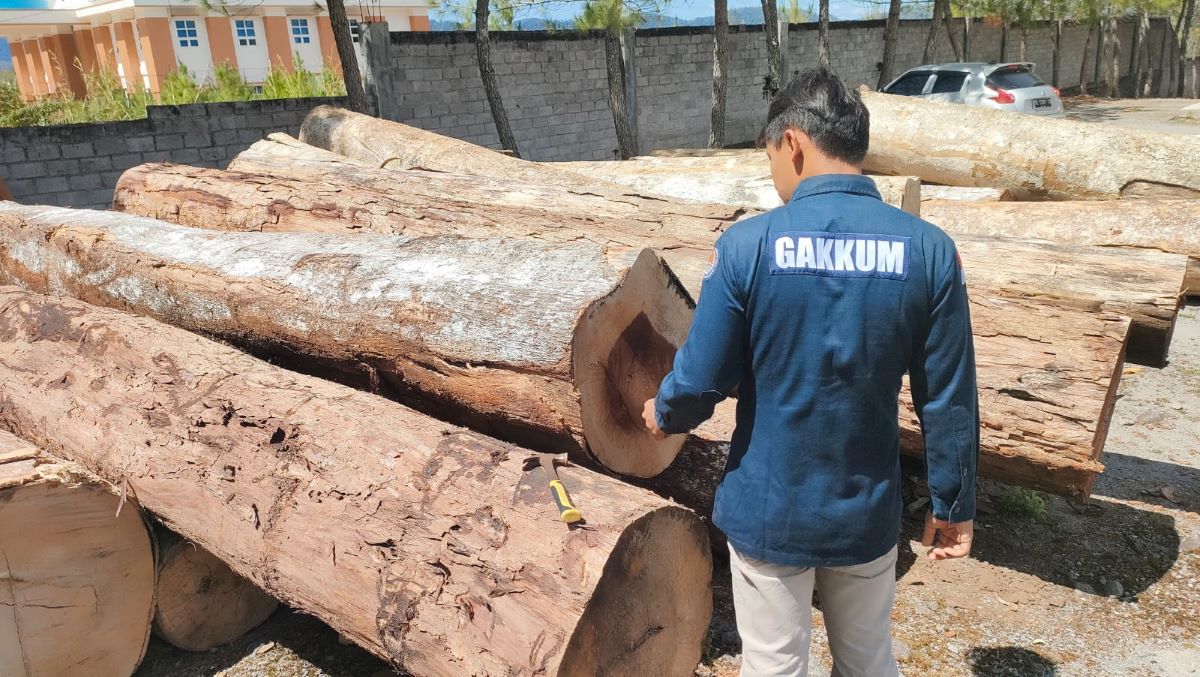 Tim Gakkum Kehutanan Wilayah Sumatra Amankan 12 Truk Kayu Diduga Ilegal di Aceh Tengah