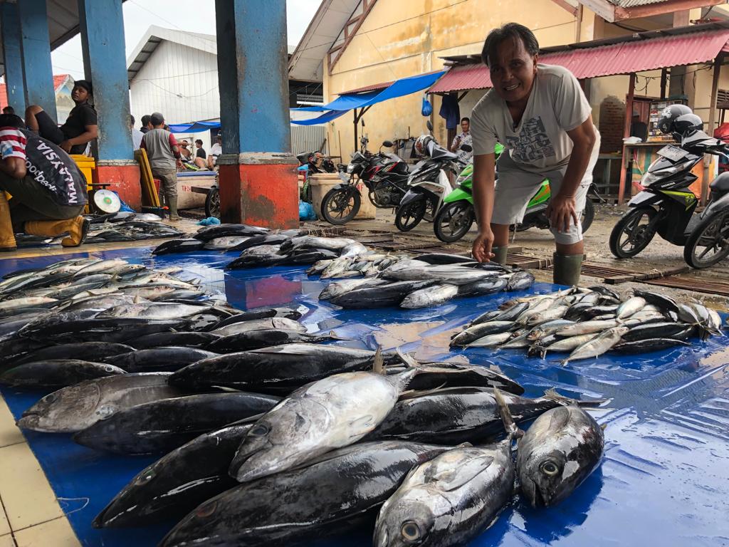 Harga Jual Ikan Segar di Aceh Barat Naik