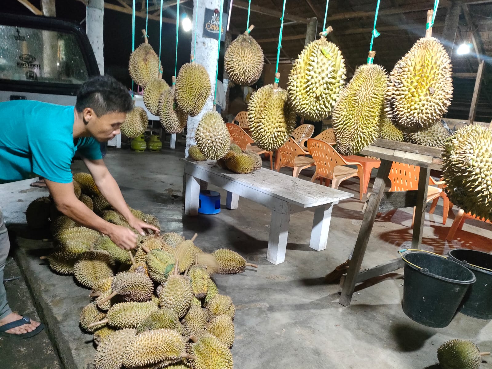 Musim Panen Durian Sudah Dimulai di Bener Meriah
